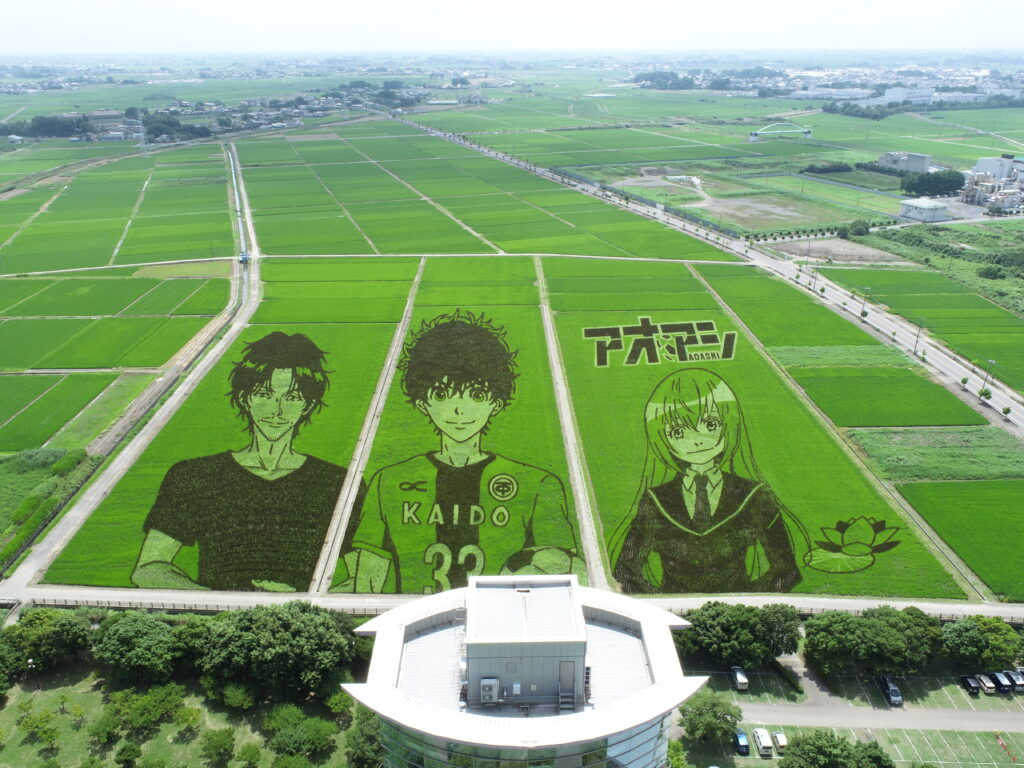 Gyoda’s Rice Paddy Art | SEE & DO | Greater Tokyo